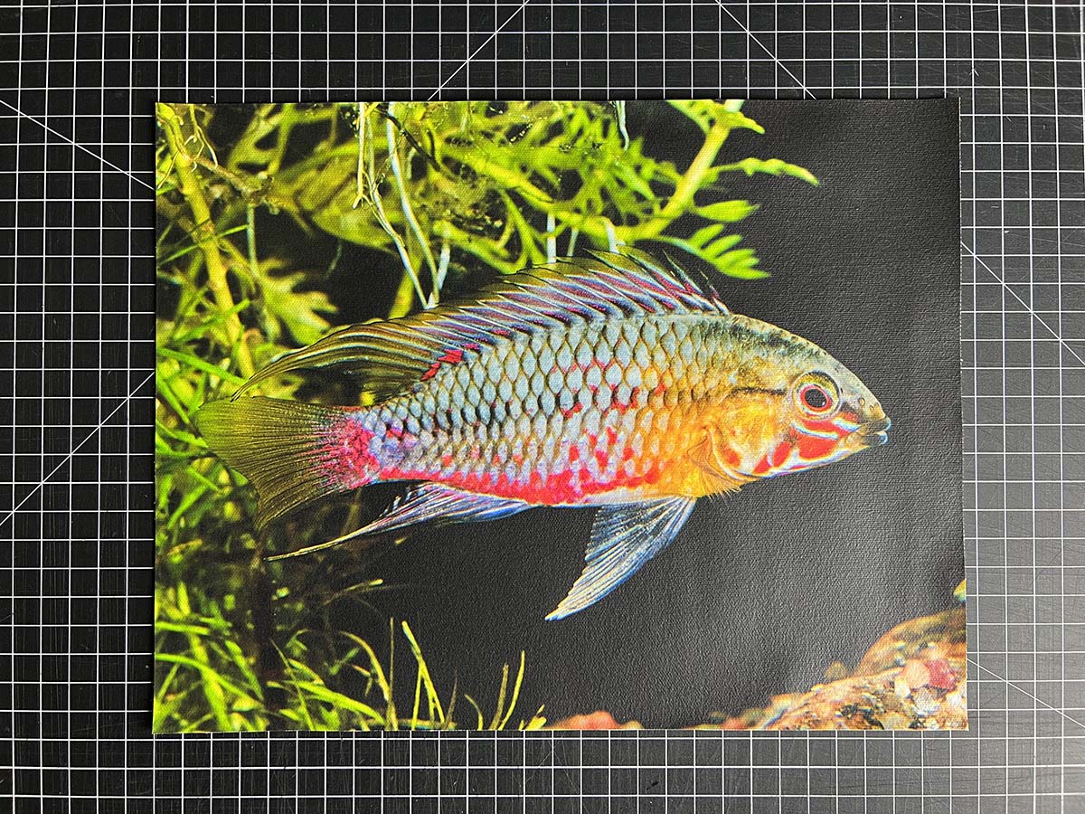 Flat Canvas Prints – Searcher Press